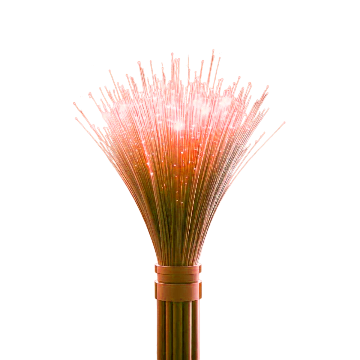 Landing page - Real Optic